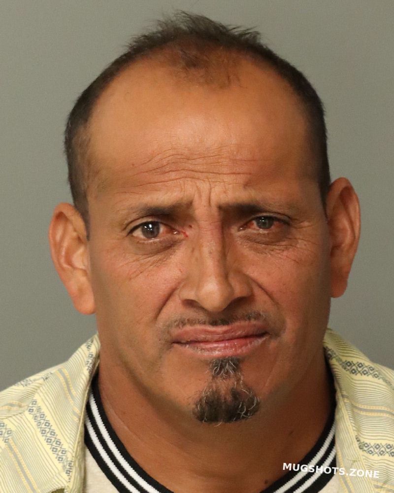 PATRICIO-OCAMPO BRUNO 11/24/2024 - Wake County Mugshots Zone