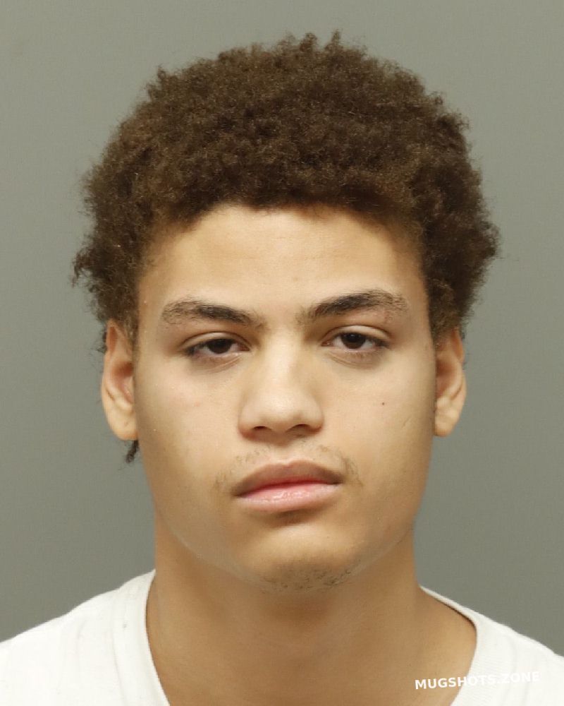 HENDERSON DAVID ALEX MICHAEL 11/25/2024 - Wake County Mugshots Zone