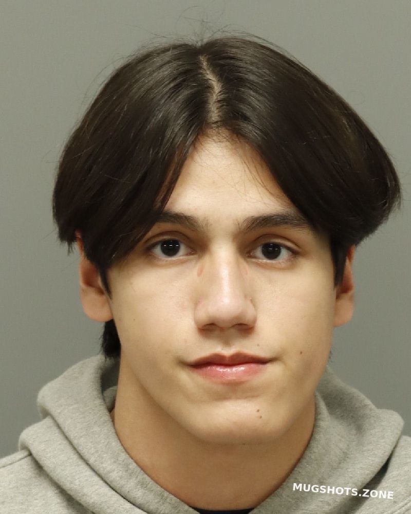 WOLFE ETHAN GABRIEL 12/10/2024 - Wake County Mugshots Zone