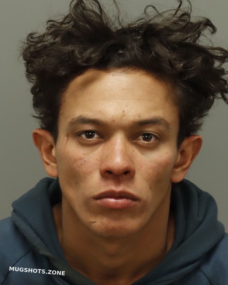 ESCOTO-VILLAFRAN LUIS ALEXAN 01/03/2025 - Wake County Mugshots Zone
