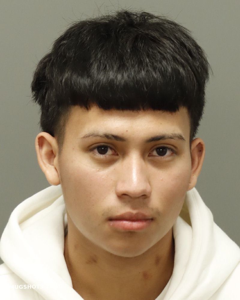 AMAYA DAVID ALBERTO 01/05/2025 - Wake County Mugshots Zone
