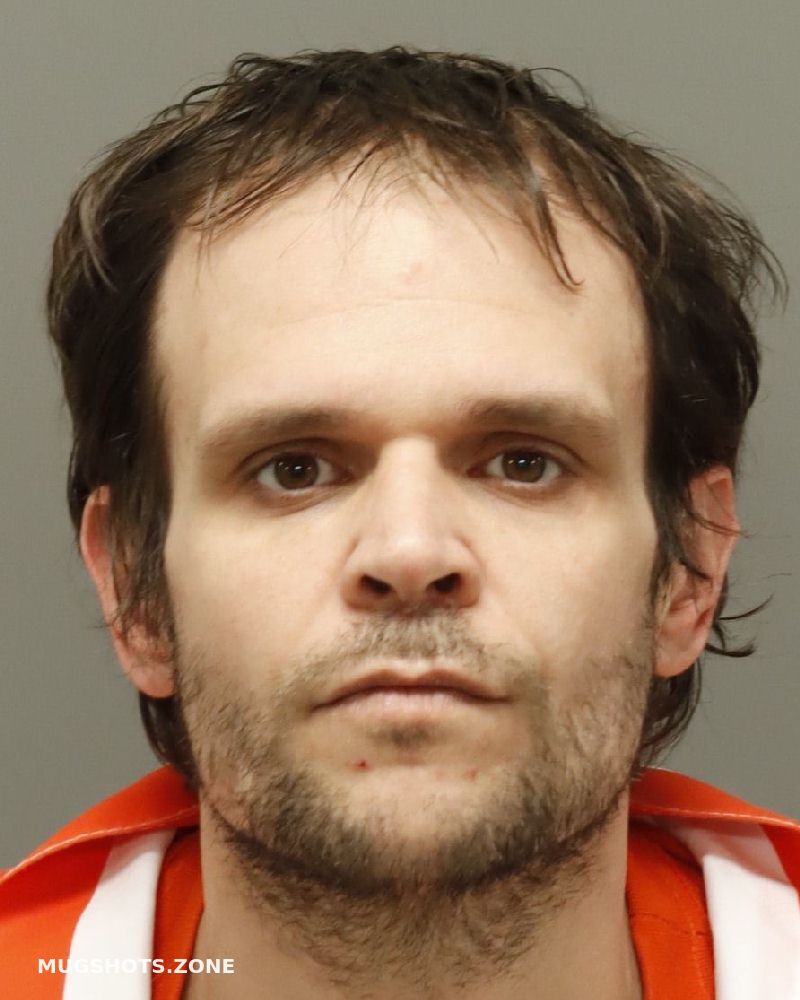 SULLIVAN MATTHEW RYAN 01/28/2025 - Wake County Mugshots Zone