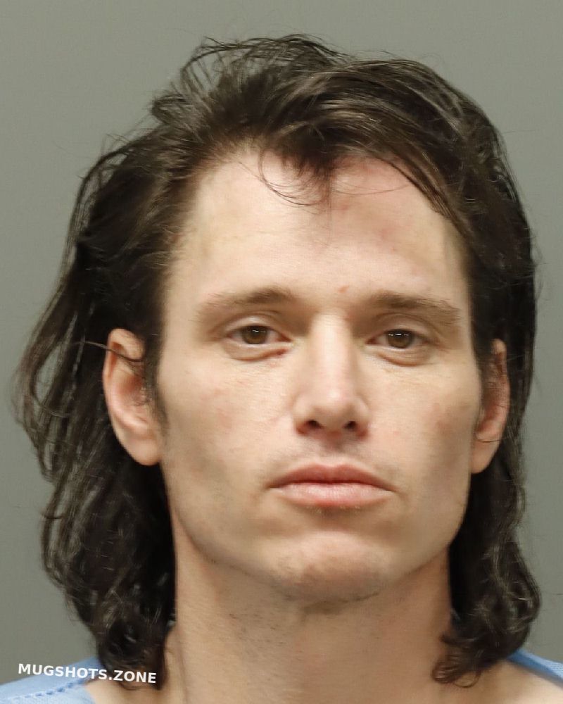MARION TRAVIS LEE 03/20/2025 - Wake County Mugshots Zone