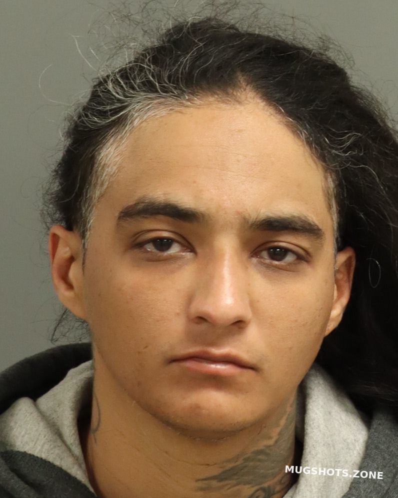 PETTY JAMIE LEIGH 03/25/2025 - Wake County Mugshots Zone