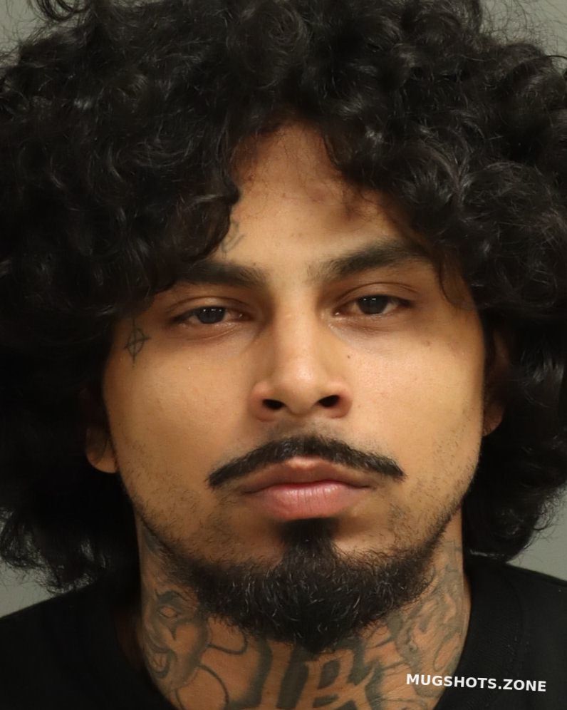 BAIDE ELVIS ISAAC 03/28/2025 - Wake County Mugshots Zone