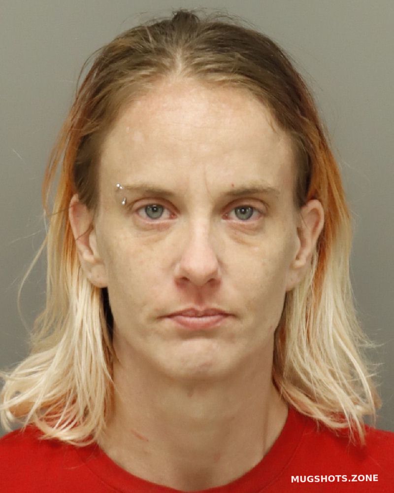 PALMER JESSICA LYNN 05/22/2025 - Wake County Mugshots Zone