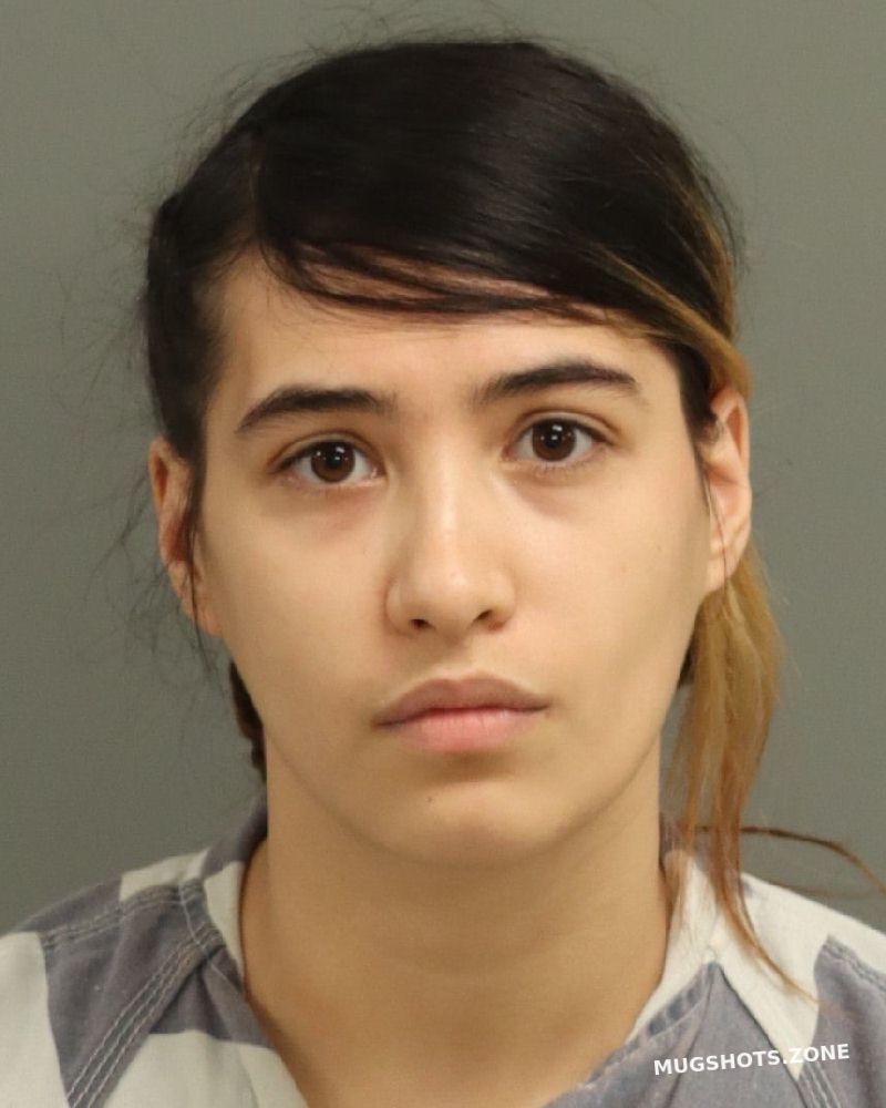 SANCHEZ ALEXANDRA LEE 05/28/2025 - Wake County Mugshots Zone