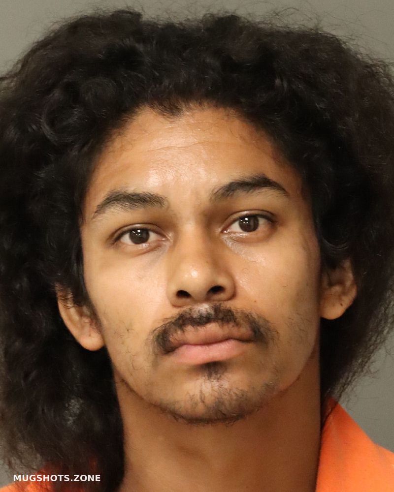SILVIA NICOLAS ANDRES 06/26/2025 - Wake County Mugshots Zone