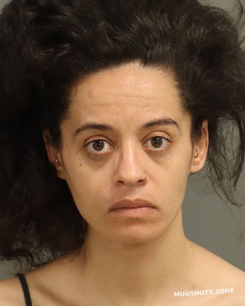 STICKNEY STEPHANIE RENEE 07/03/2025 - Wake County Mugshots Zone