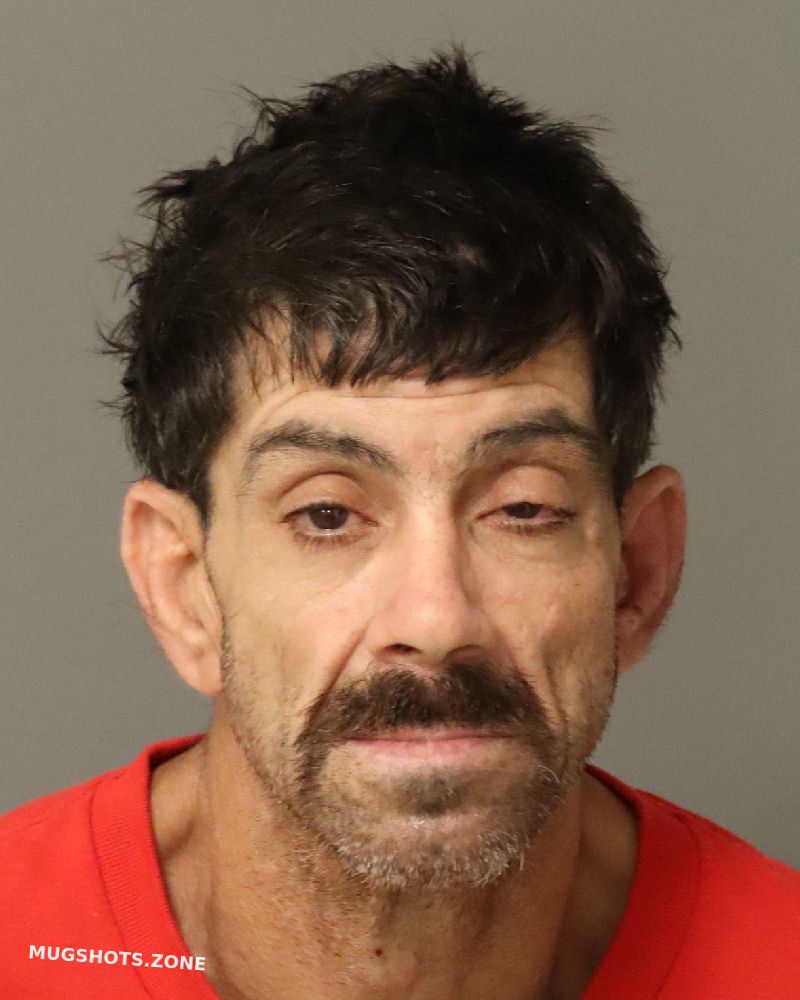 SALTIEL ROBERT VAN 07/28/2025 - Wake County Mugshots Zone