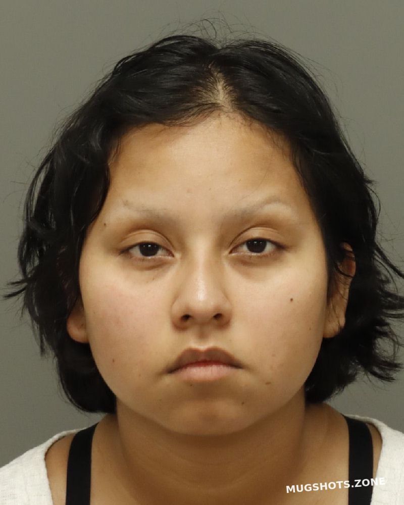 JOHNSON CLAUDIA PATRICIA 09/20/2025 - Wake County Mugshots Zone