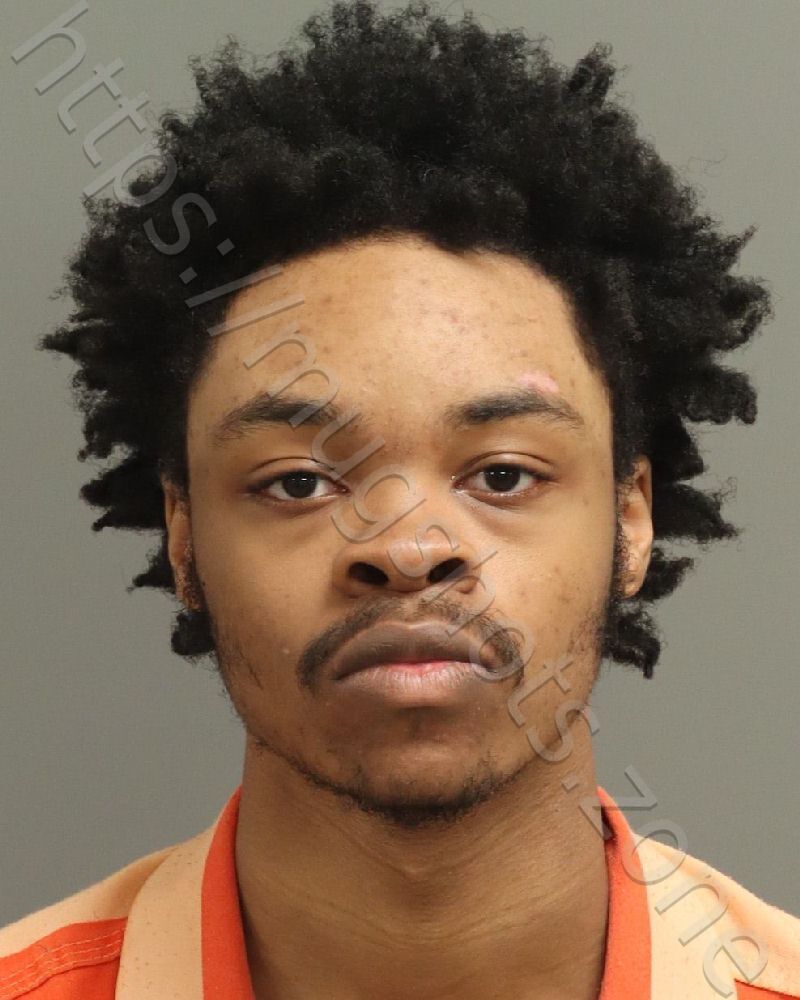 WILSON-EVANS ISAIAH ZACHARIA 03/12/2026 - Wake County Mugshots Zone