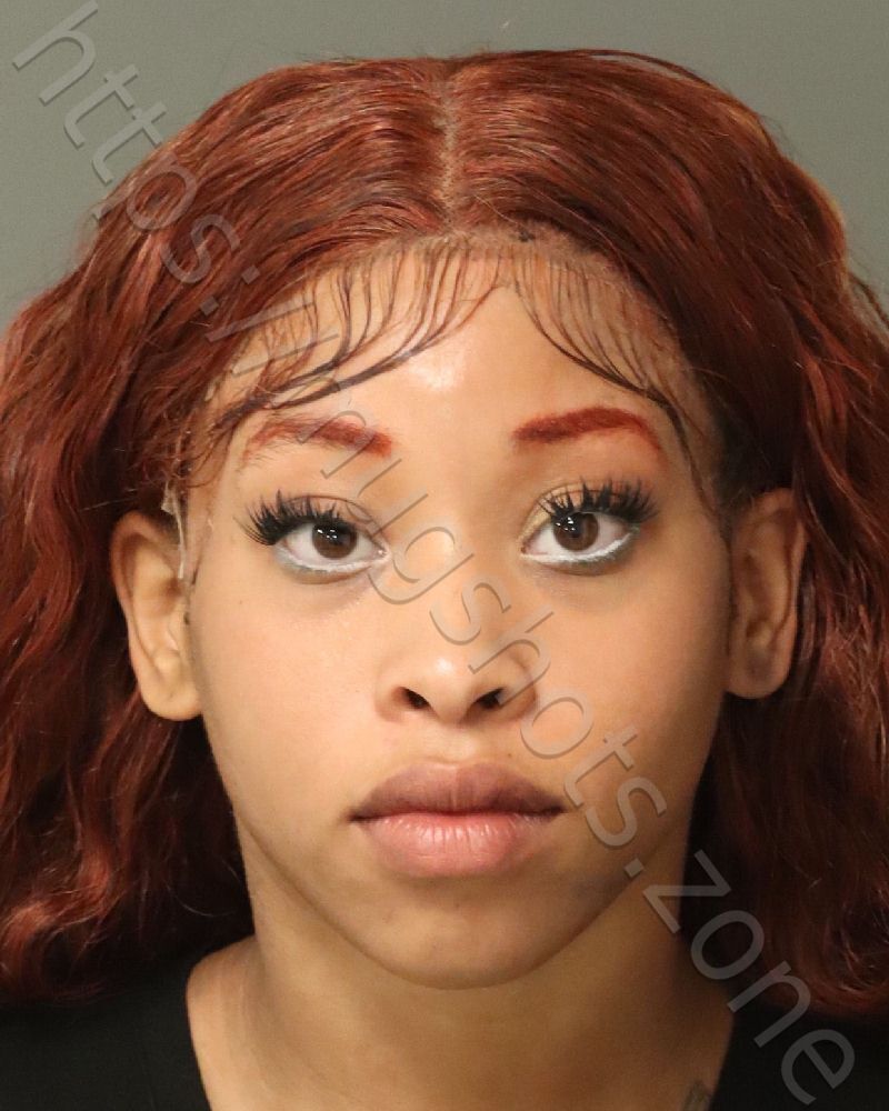 TINNIN ROBYN MALINA 03/15/2026 - Wake County Mugshots Zone