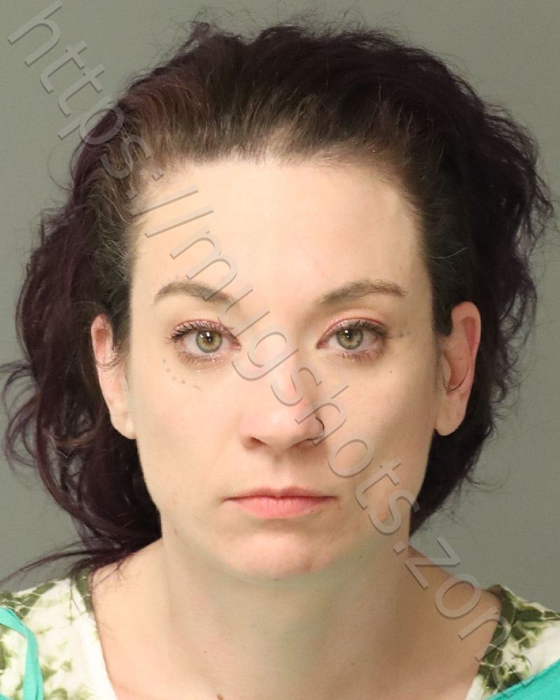 KEEN RANDI MICHELLE 03/18/2026 - Wake County Mugshots Zone