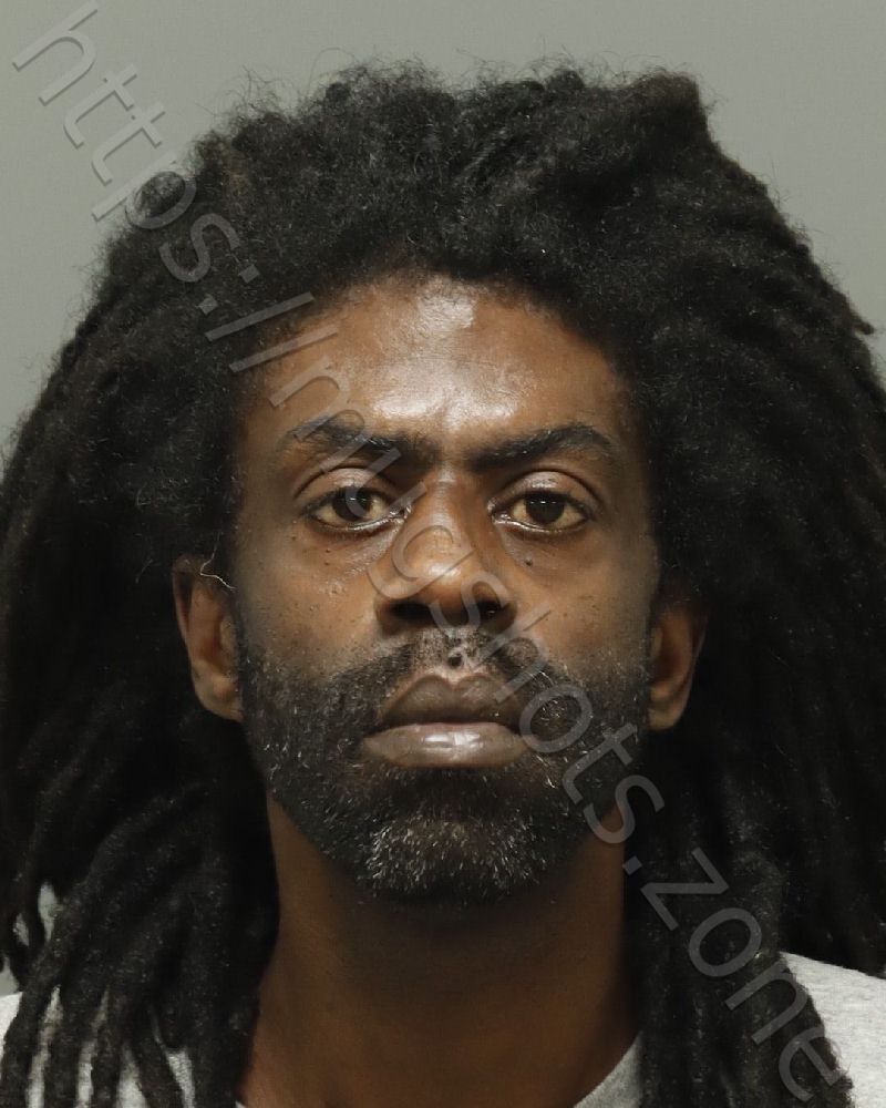 HOWARD RAYFORD LEE JR 03/22/2026 - Wake County Mugshots Zone