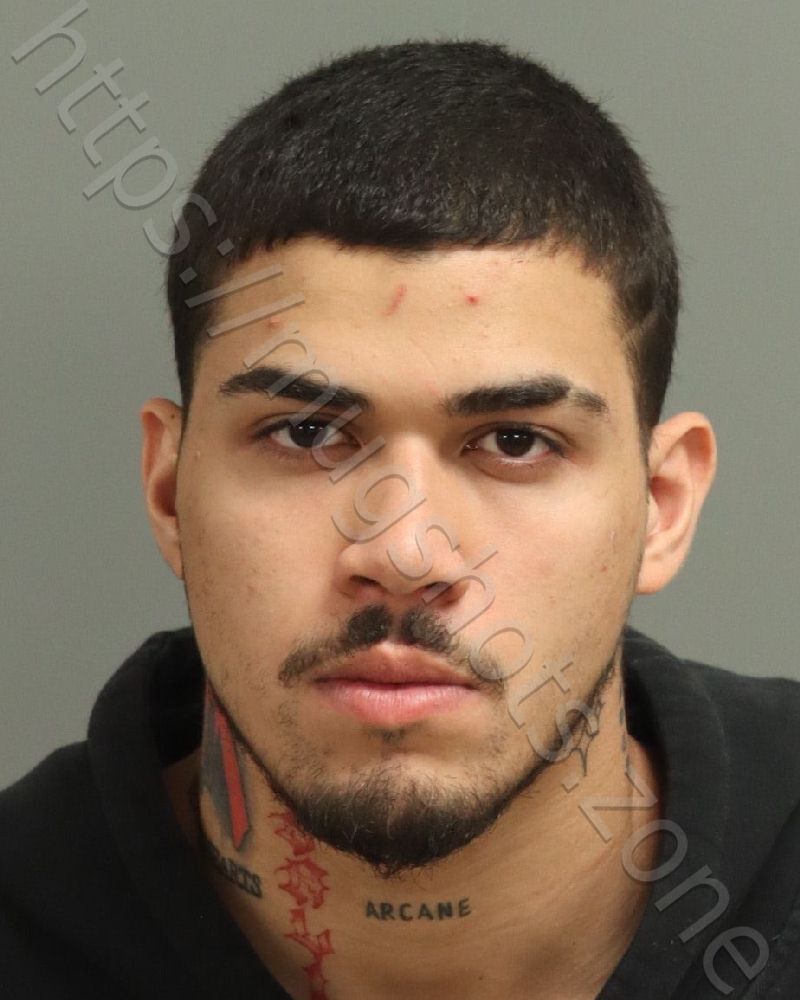 VALERIO ALEXANDER 03/27/2026 - Wake County Mugshots Zone