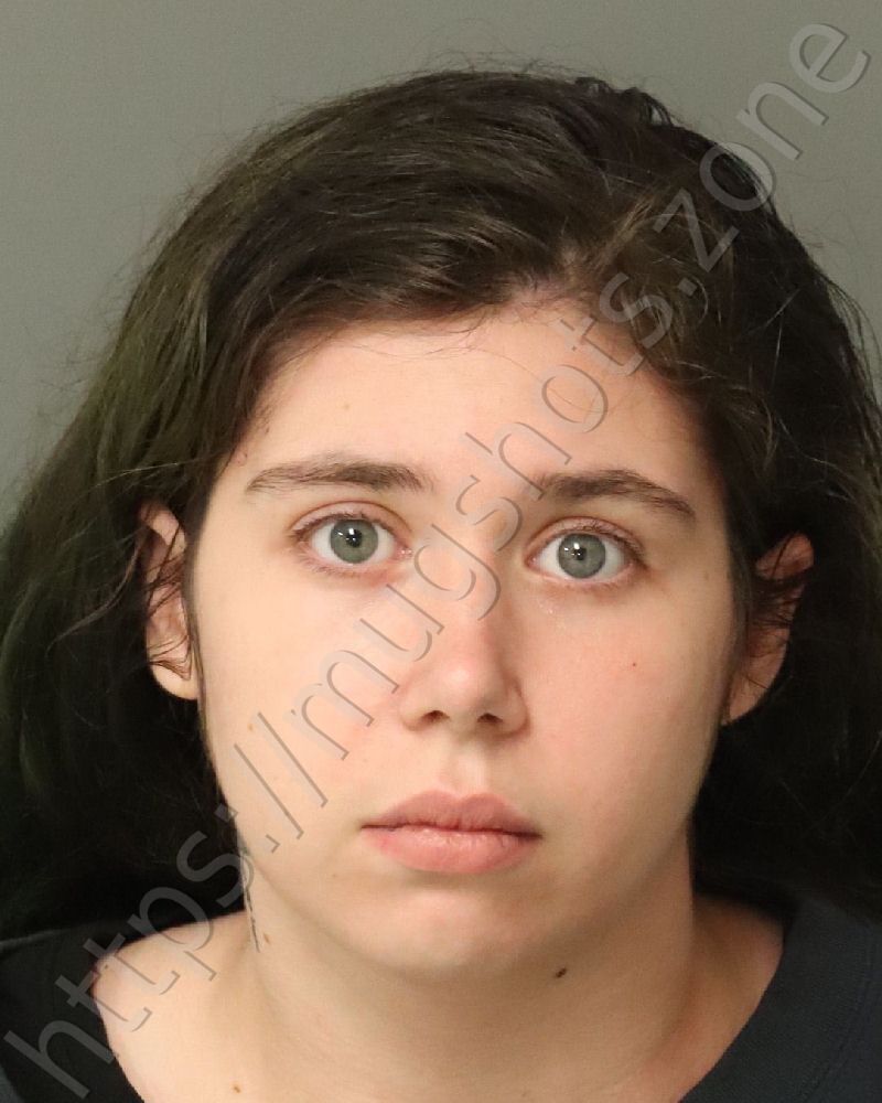 HEBERT SARAH ROSE 04/04/2026 - Wake County Mugshots Zone