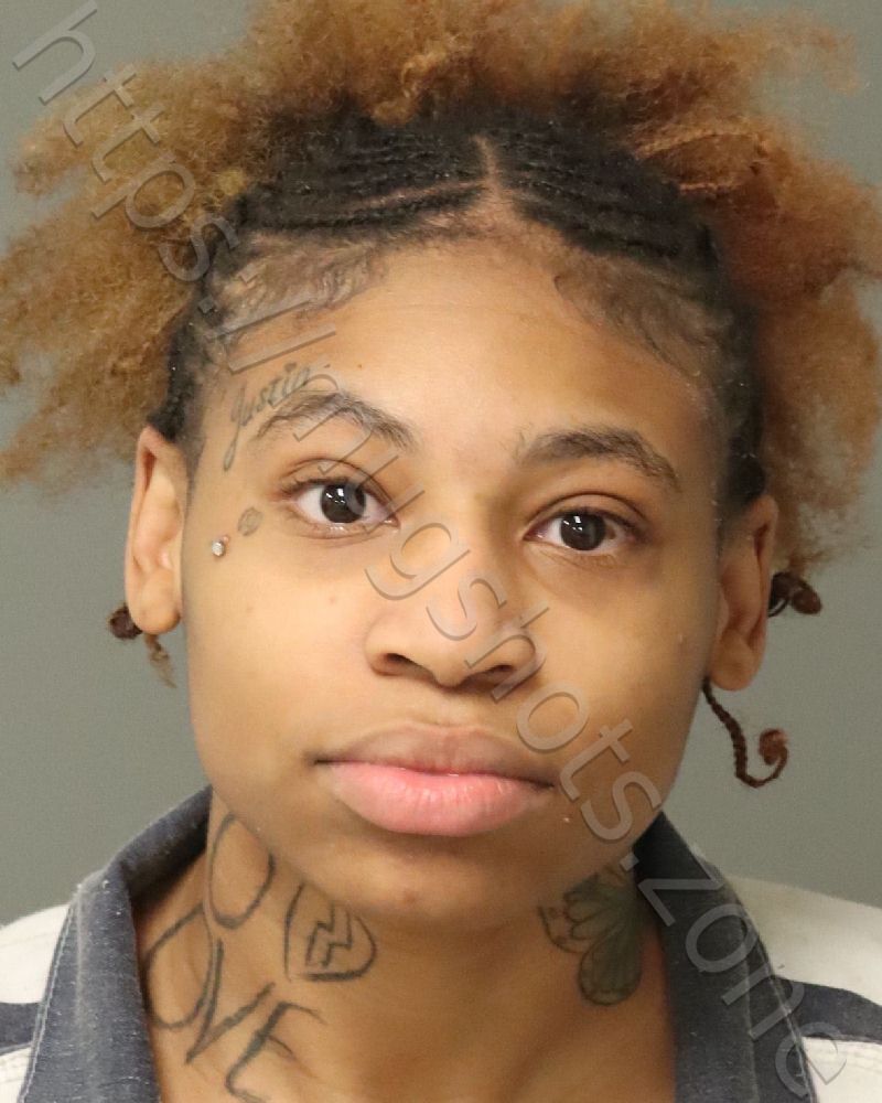 HOGAN OMUNIQUE ANNA-NICKOLE 04/07/2026 - Wake County Mugshots Zone