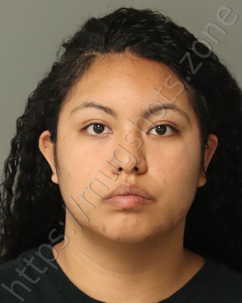 BONILLA-BRAVO ANGIE GISELLE 04/14/2026 - Wake County Mugshots Zone