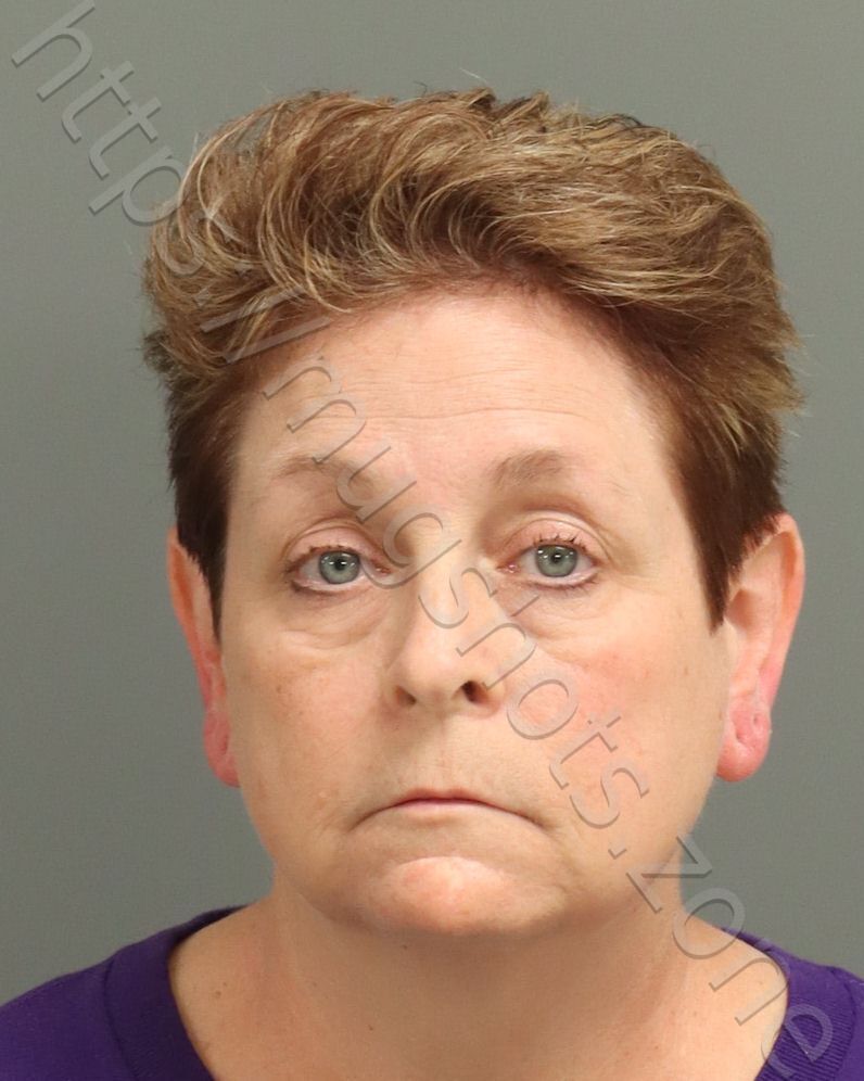 GERRINGER LESLIE LEIGH 04/14/2026 - Wake County Mugshots Zone