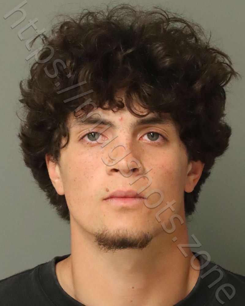 EBEL NICHOLAS GARY 04/19/2026 - Wake County Mugshots Zone