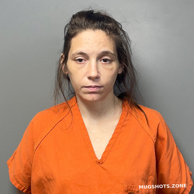 SWINDLE ERICA MARIE 11/20/2023 - Walker County Mugshots Zone