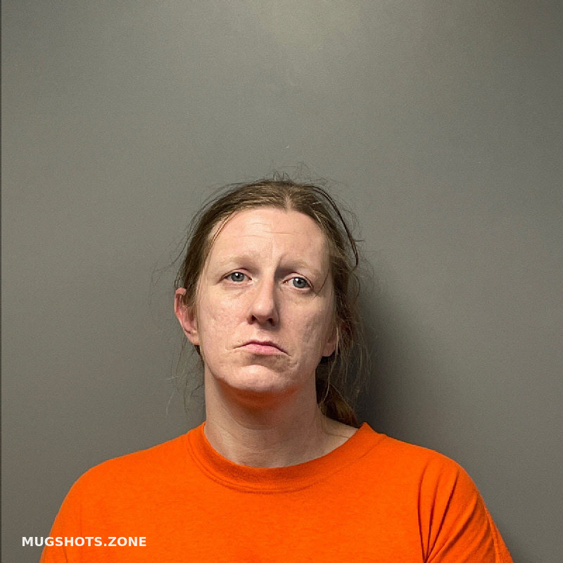 AKINS SUSAN MARIE 01/31/2024 - Walker County Mugshots Zone