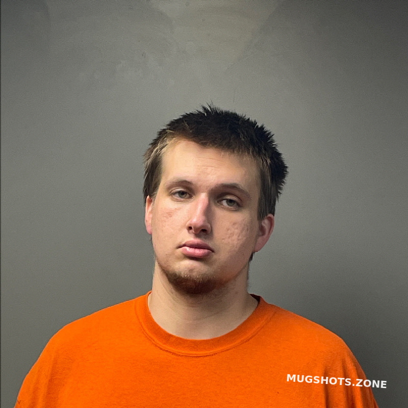 BRIDGES AUSTIN REID 02/07/2024 - Walker County Mugshots Zone