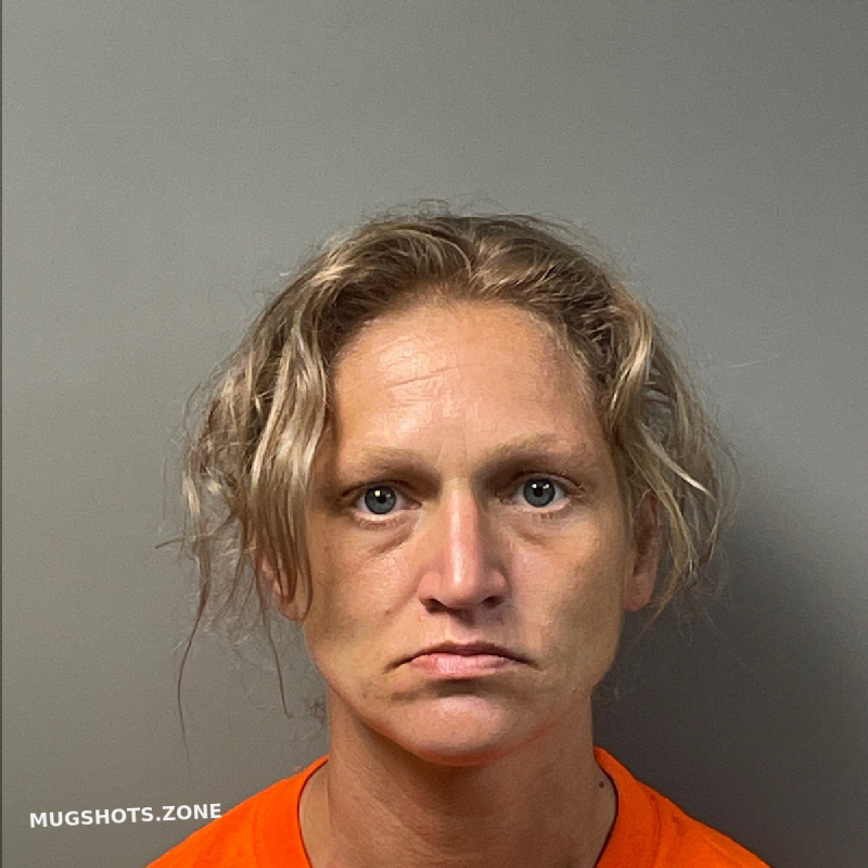 WOODS SANDRA LYNN 07/19/2024 - Walker County Mugshots Zone