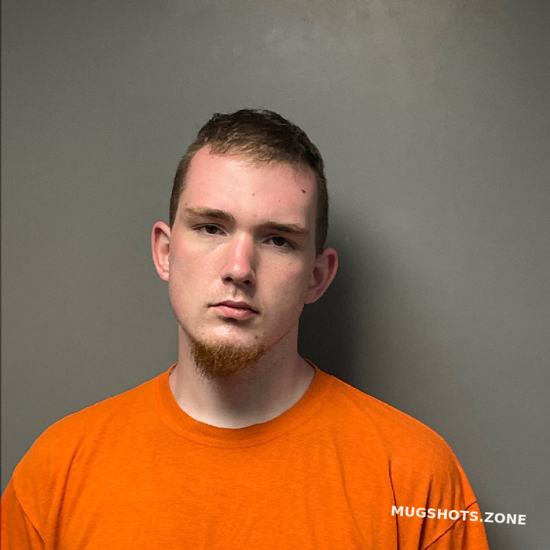 MCAVOY NATHAN LAYNE 08/12/2024 - Walker County Mugshots Zone