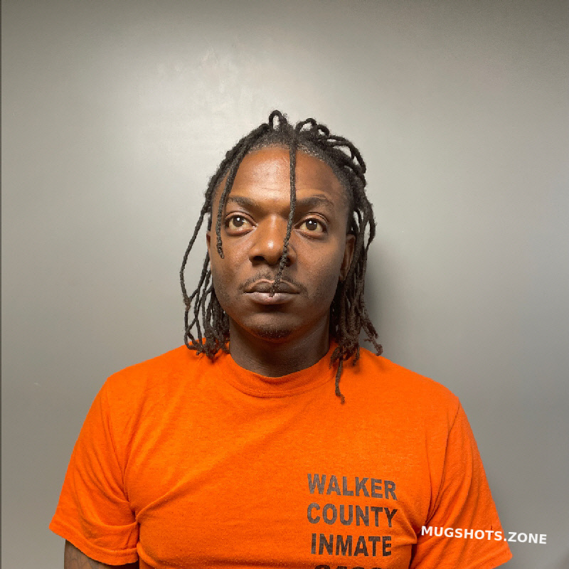 LEWIS GREGORY LEWIS 08/16/2024 - Walker County Mugshots Zone