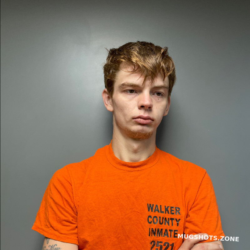 TIDWELL AUSTIN KANE 08/19/2024 - Walker County Mugshots Zone