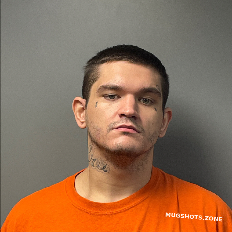 HENSLEE RICHARD TERRANCE 08/24/2024 - Walker County Mugshots Zone