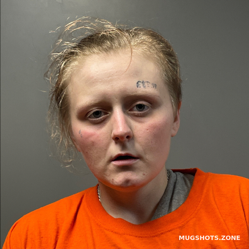 LAY BREANNA JOYCE 08/28/2024 - Walker County Mugshots Zone
