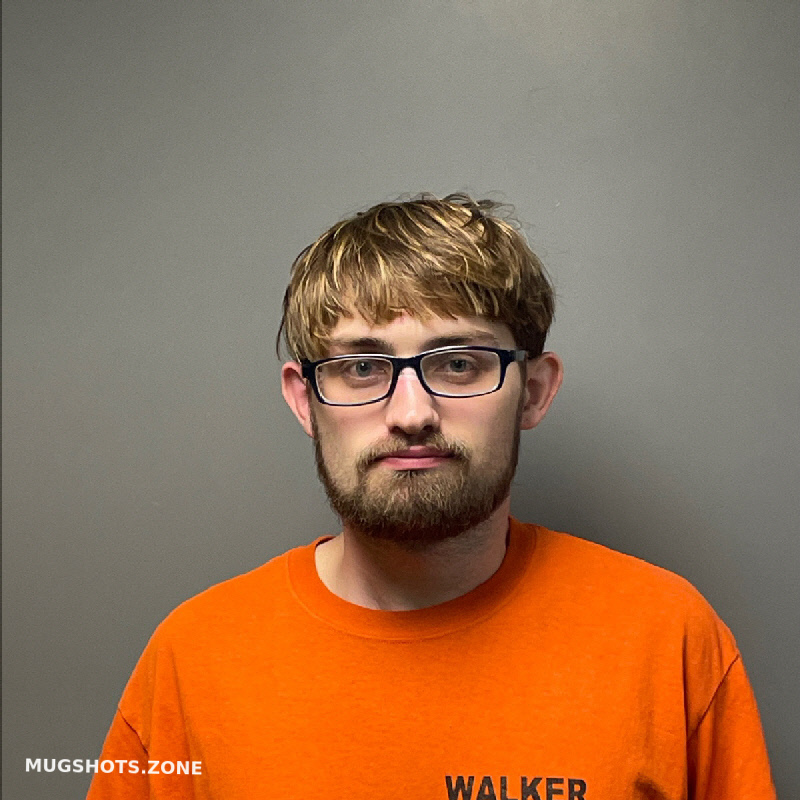 WILLS SETH NATHANIEL 11/29/2024 - Walker County Mugshots Zone