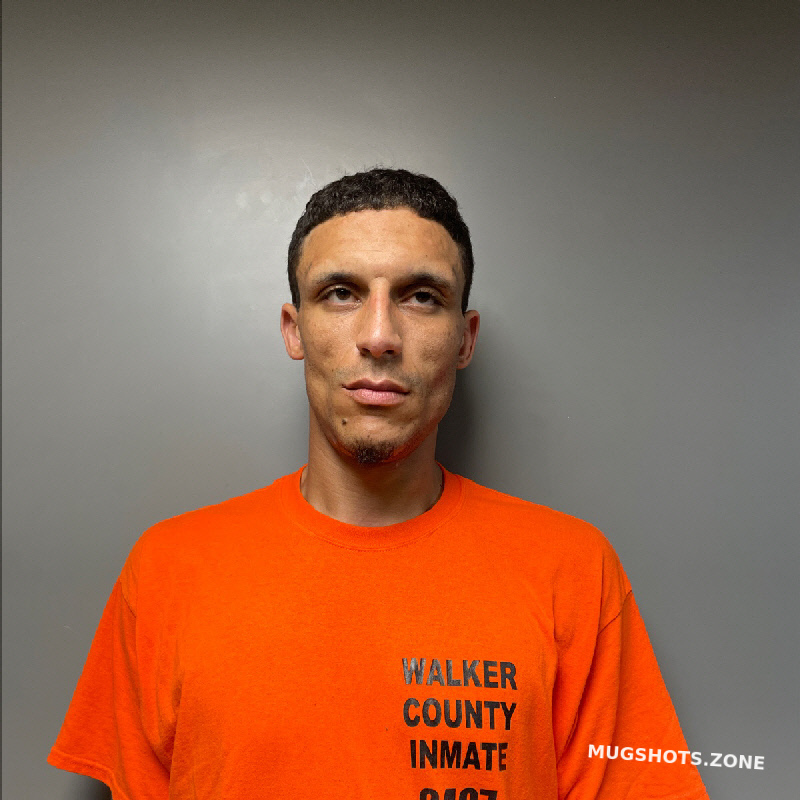 HAYES TYLER DAKOTA 02/07/2025 - Walker County Mugshots Zone