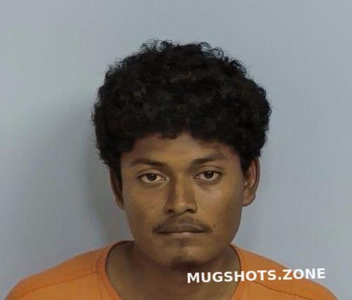 DENIS BOBB ADONIS JOSE 12/30/2024 - Walton County Mugshots Zone
