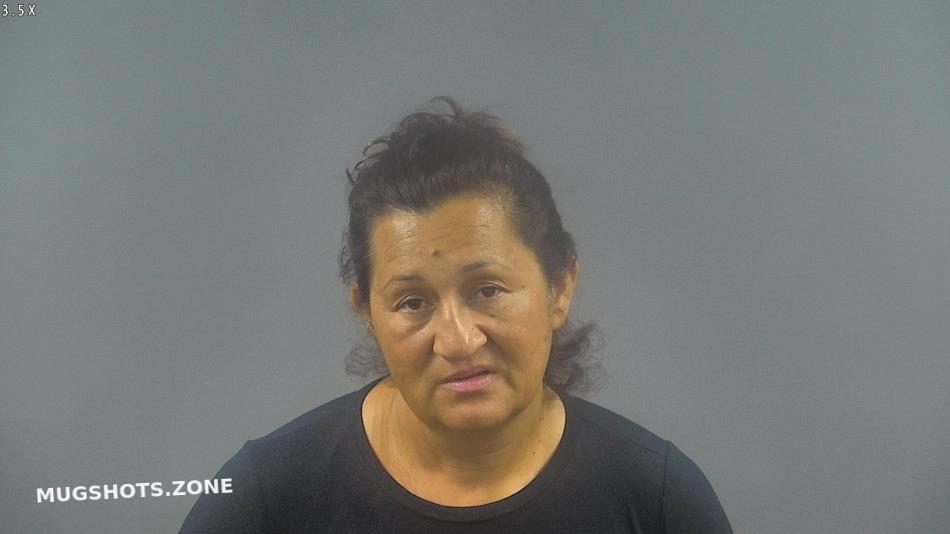 BOSNJAKOVIC ALISA NONE 05/28/2022 - Warren County Mugshots Zone