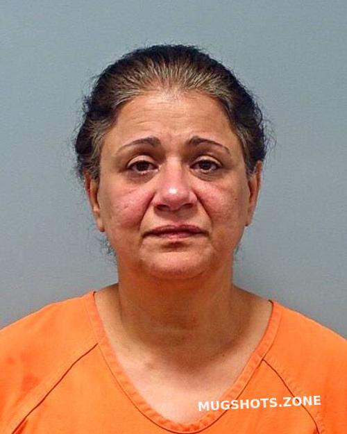 SHUAINI NADIA IBRAHIM 10/23/2023 - Warren County Mugshots Zone