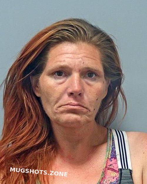 SKUTT TIFFANIE ANN 06/18/2024 - Warren County Mugshots Zone