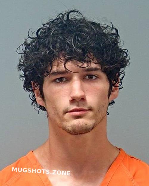 MCAFEE ROGER ETHAN 10/16/2024 - Warren County Mugshots Zone