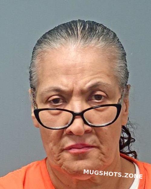 SMITH MICHELE 02/15/2025 - Warren County Mugshots Zone