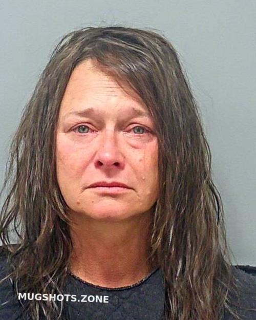 HAMM JAMIE MELISSA 04/16/2025 - Warren County Mugshots Zone
