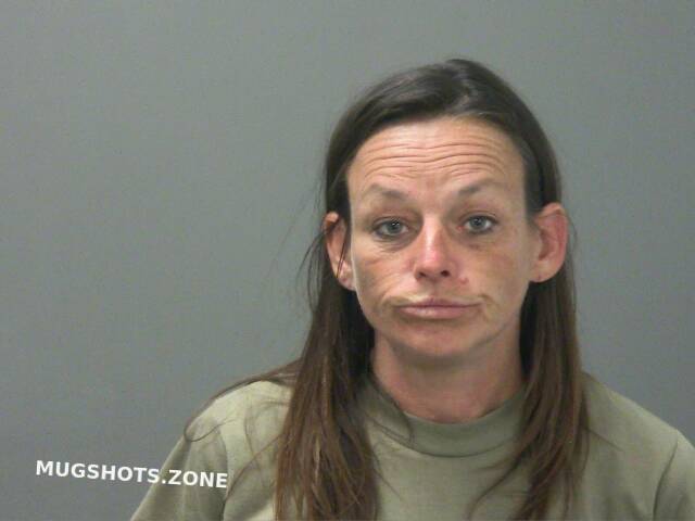 FIELDS MARGARET 04/03/2023 - Washington County Mugshots Zone