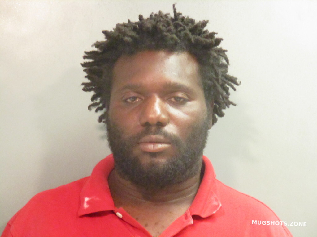 RAY BRIAN 06/28/2023 - Washington County Mugshots Zone