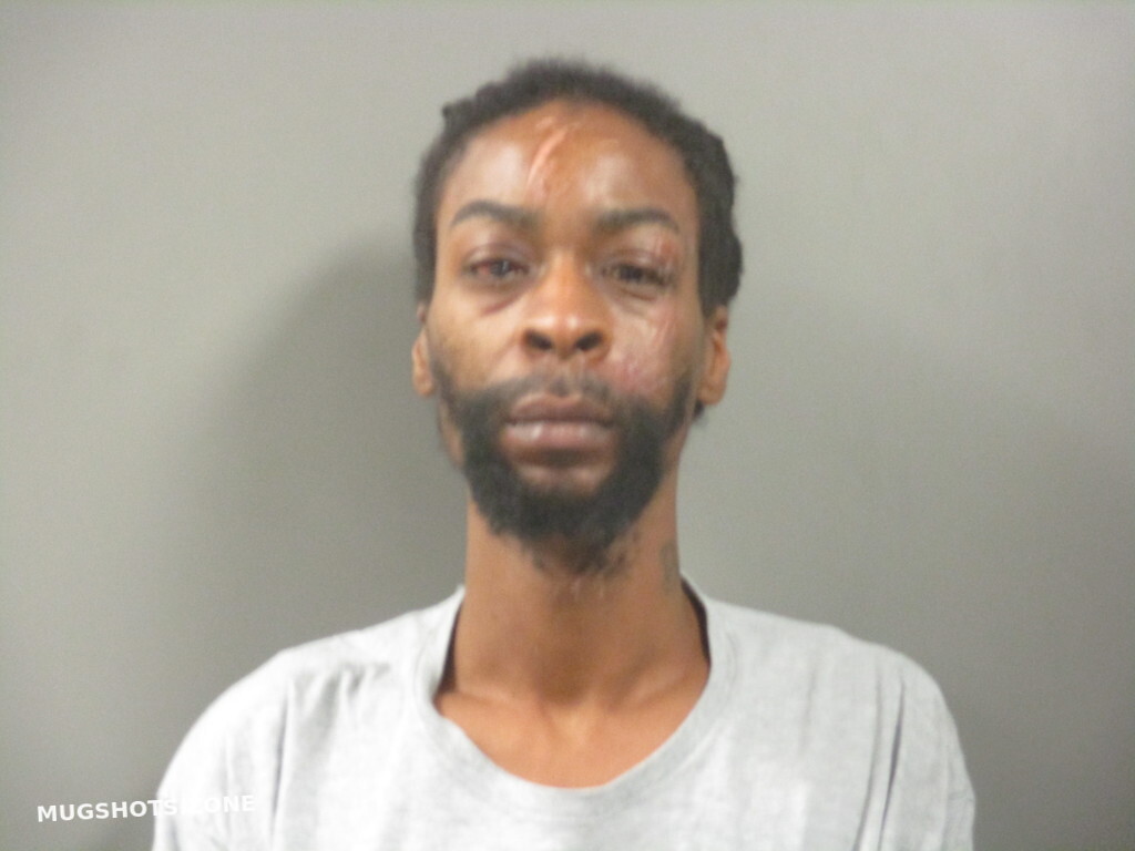 TILLY DEPARIFH 11/15/2023 - Washington County Mugshots Zone