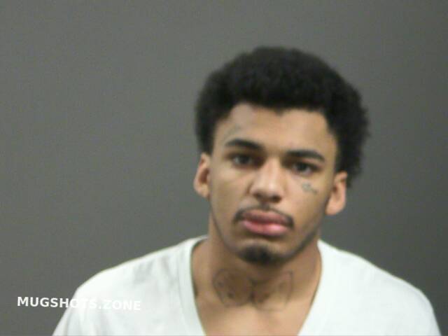 ROBINSON DAVID 11/20/2023 - Washington County Mugshots Zone