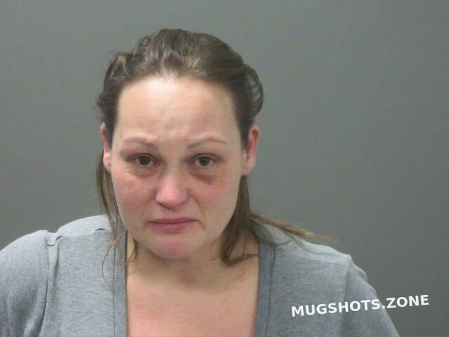 JOHNSON SHELLY 01/14/2024 - Washington County Mugshots Zone
