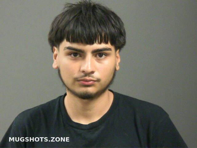 ARAUJO ANDY 06/03/2024 - Washington County Mugshots Zone