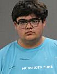 ILANO JOSHUA 05/20/2023 - Wayne County Mugshots Zone